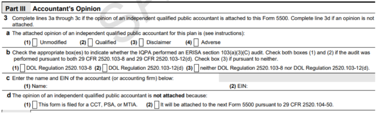 Accountants Opinion Form 5500 | Form 5500 Selections | DE VA PA