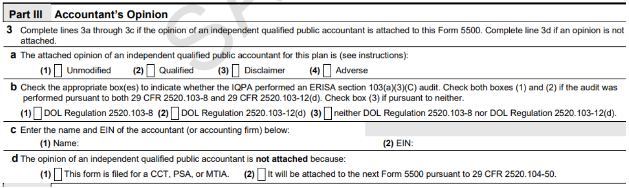 Accountants Opinion Form 5500 | Form 5500 Selections | DE VA PA